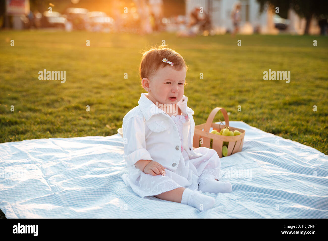 Little baby sitting and crying alone on picnic in park Stock Photo - Alamy