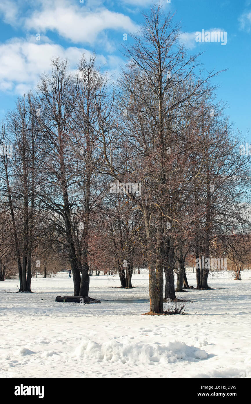 thaw snow lanscape tree Stock Photo - Alamy