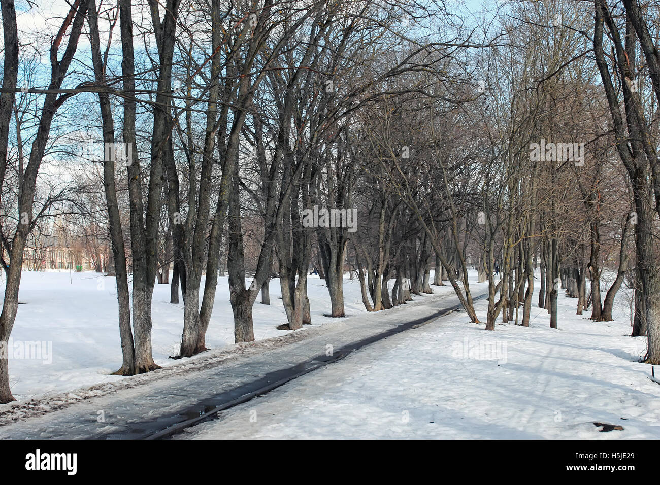 thaw snow lanscape tree Stock Photo - Alamy