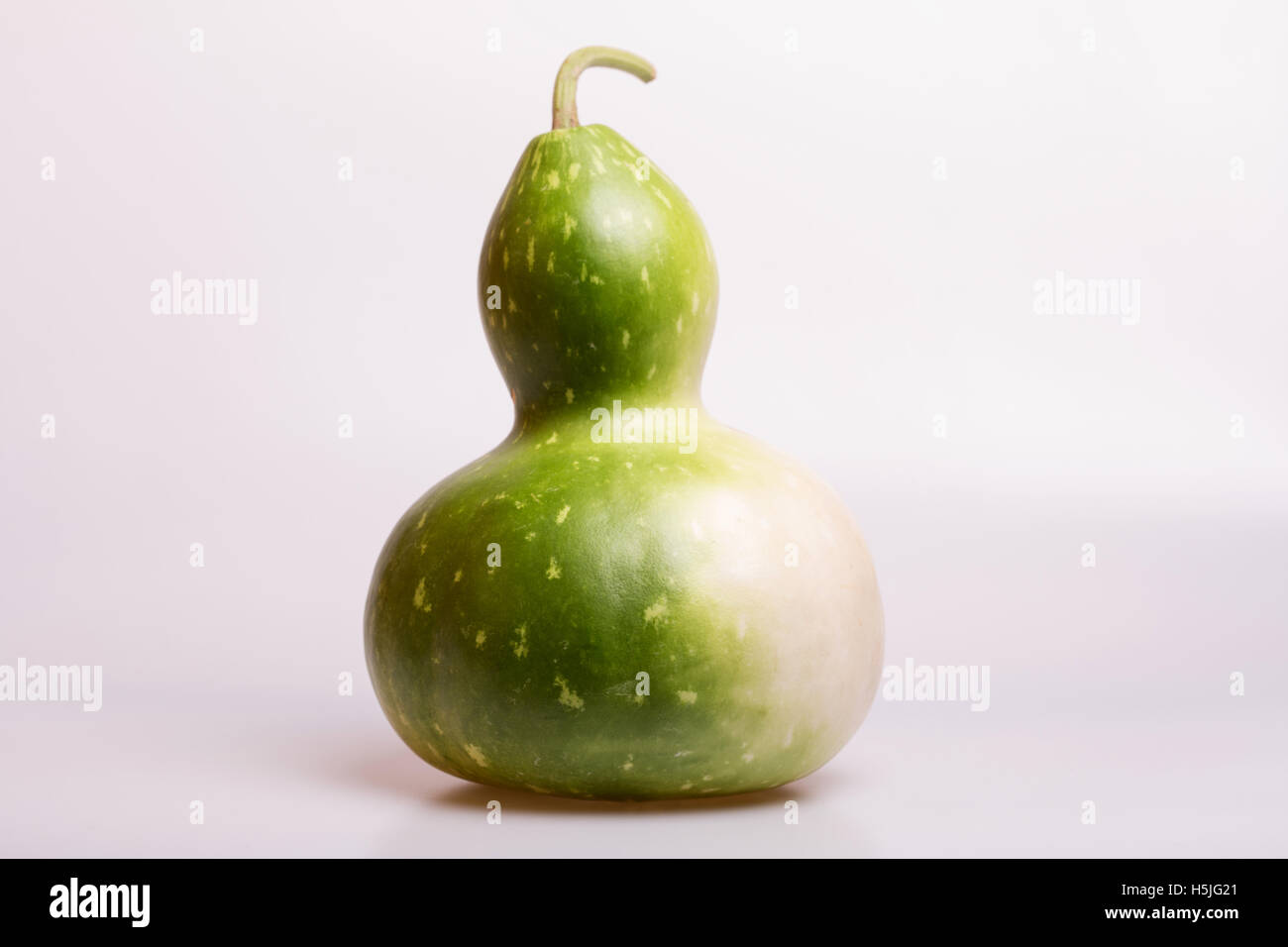 green calabash or Chinese Bottle Gourd is used by many cultures around ...