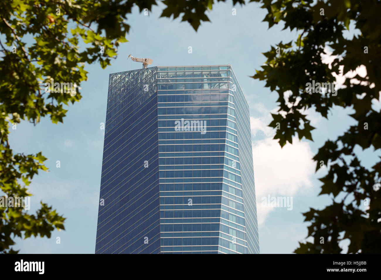 Modern building metallic and glass facade detail with tree limb ...