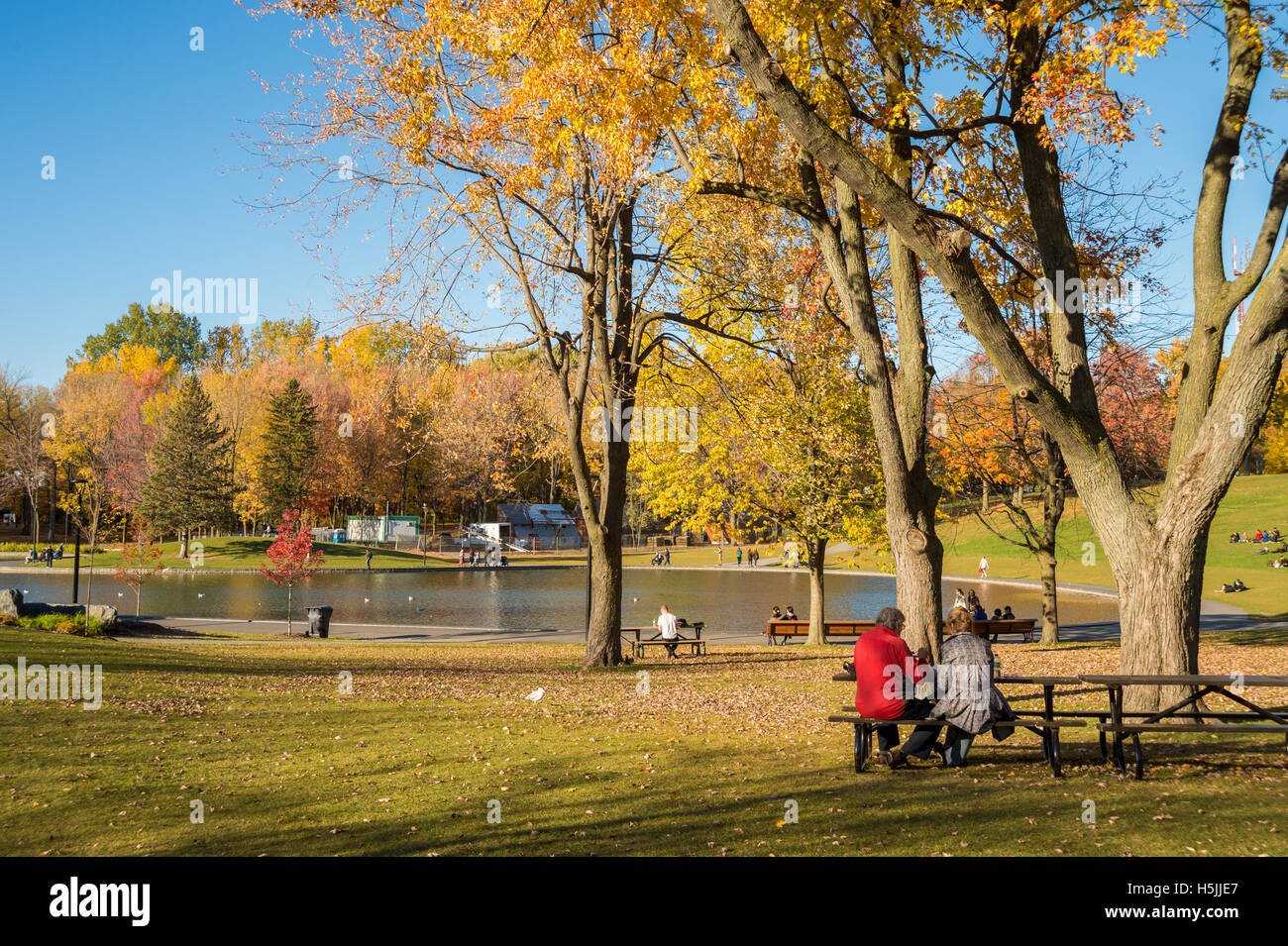 Montreal canada october 19 hi-res stock photography and images - Alamy