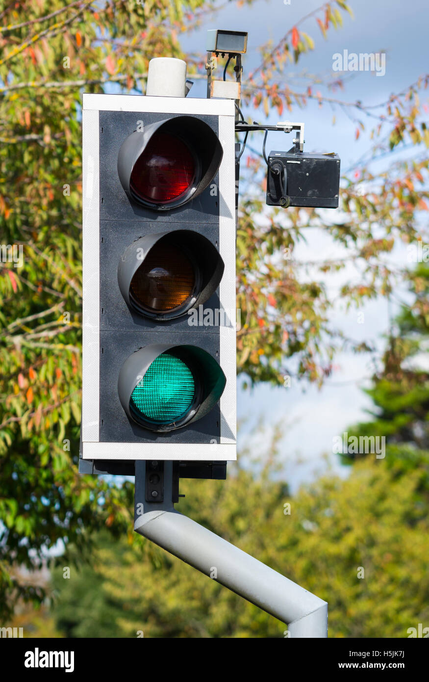 How Do Red Light Cameras Work Sa Yadira Roden