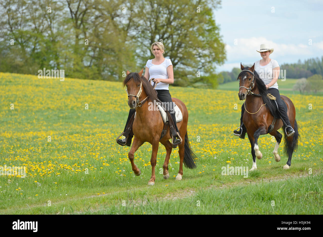 Two riders hi-res stock photography and images - Alamy
