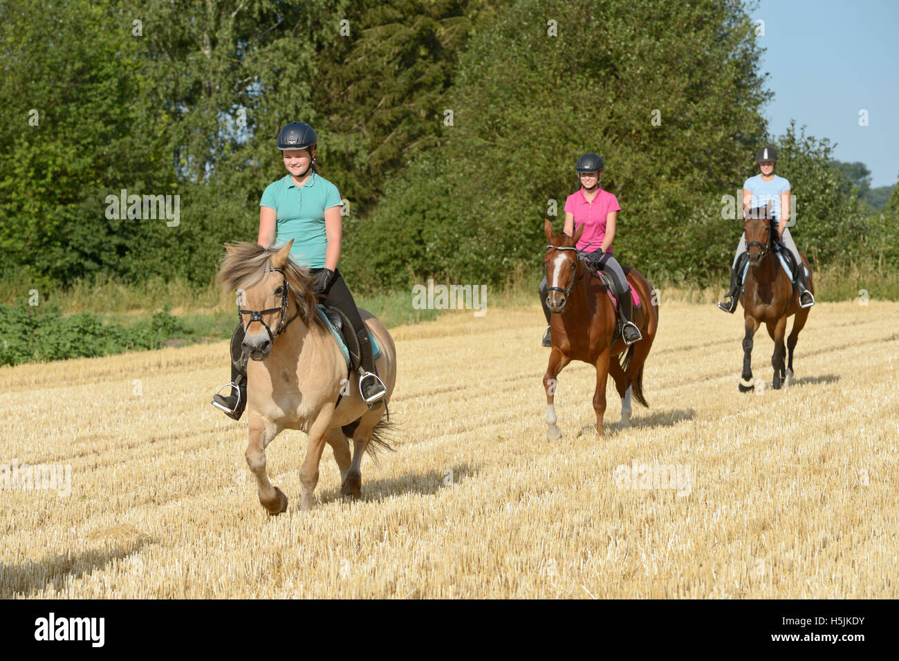 Three young riders on horseback riding in a stubble field Stock Photo ...