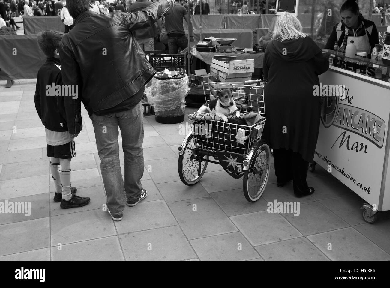 Chelsea dogs hi-res stock photography and images - Alamy