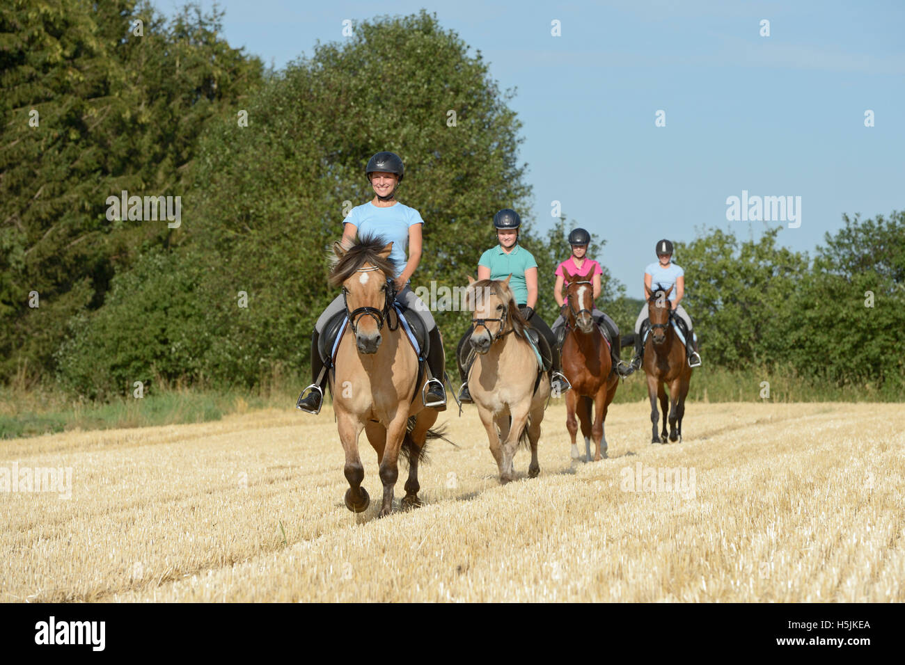 Four young riders on horseback riding in a stubble field Stock Photo ... Four young riders on horseback riding in a stubble field Stock Photo ...