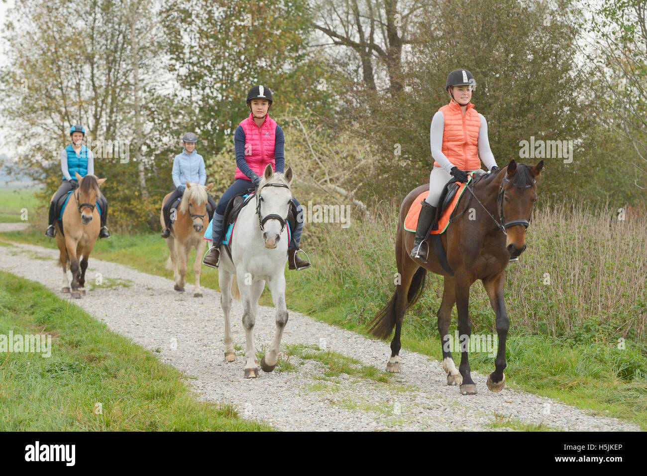 Ride on walking horses hi-res stock photography and images - Alamy