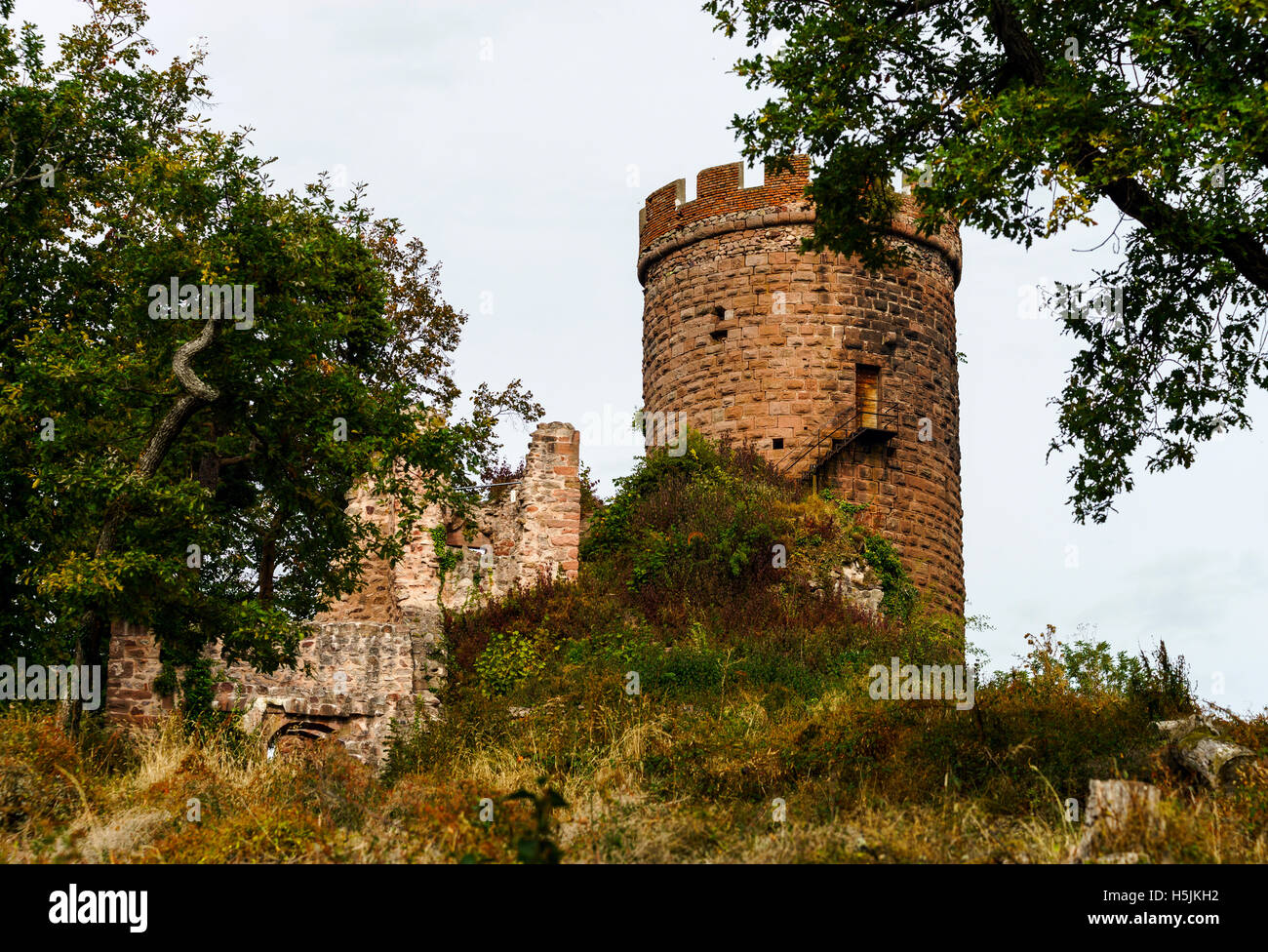Majestic medieval castle Haut-Ribeaupierre on the top of the hill ...