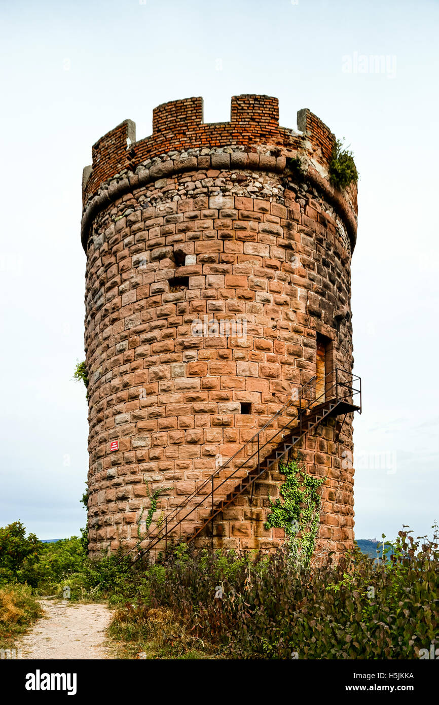 Majestic medieval castle Haut-Ribeaupierre on the top of the hill ...