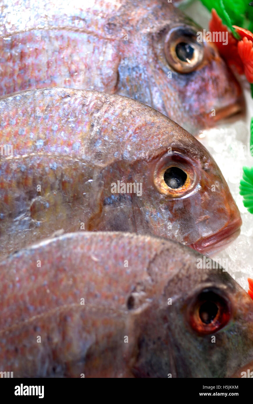 Red Snapper on fresh fish stall Stock Photo - Alamy