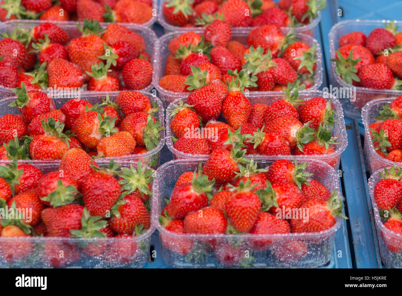 Fresh strawberries in plastic containers Stock Photo - Alamy