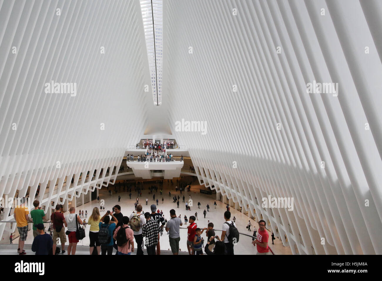 Oculus, the transportation hub by architect Santiago Calatrava, at the ...