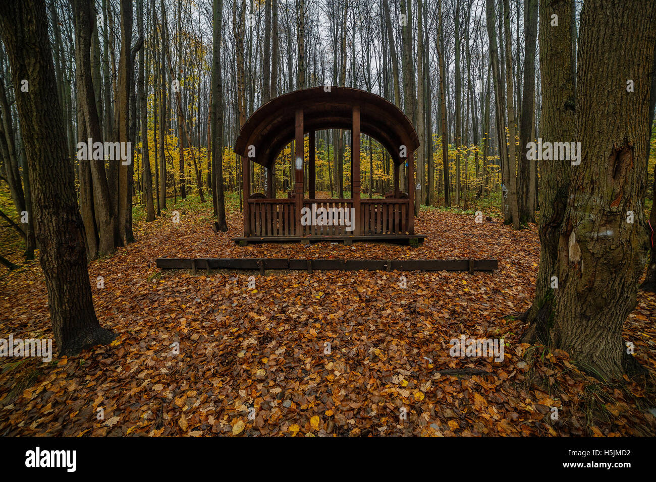 Wooden arbor in the forest park in an fall season Stock Photo - Alamy