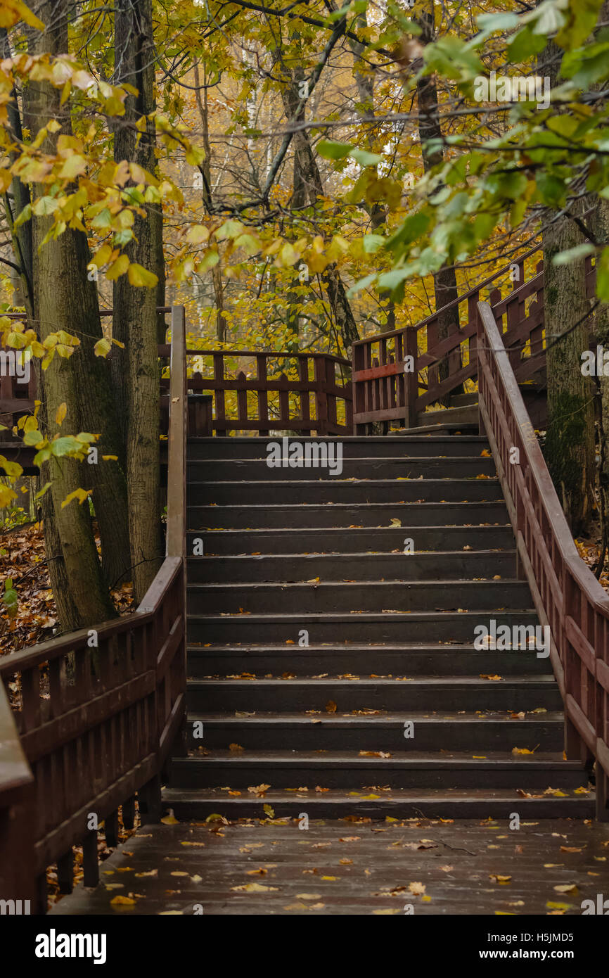 Wooden ladder hi-res stock photography and images - Alamy