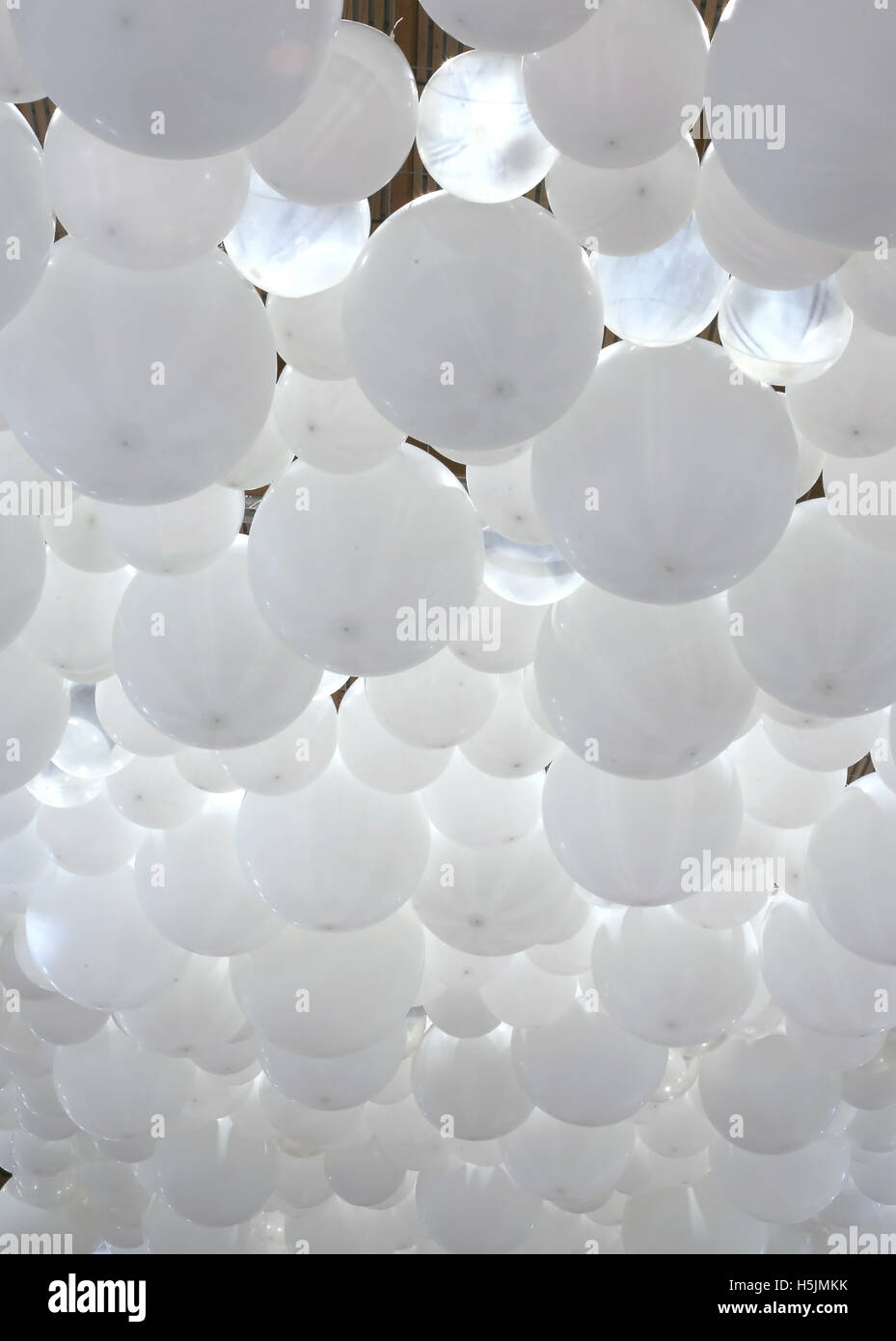 many big white balloons hanging from the ceiling during a ceremony and ...