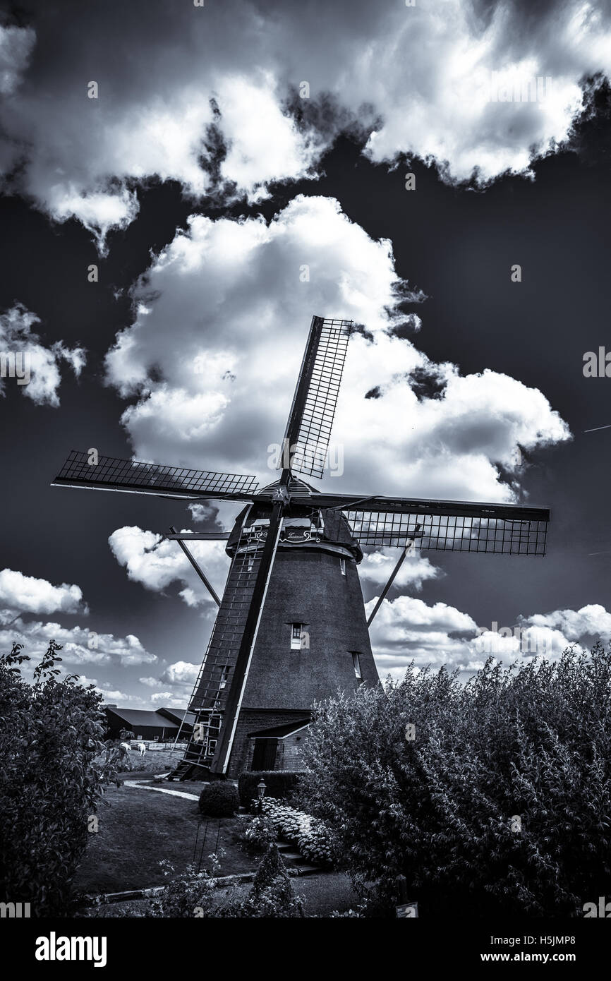 traditional dutch windmill Stock Photo - Alamy