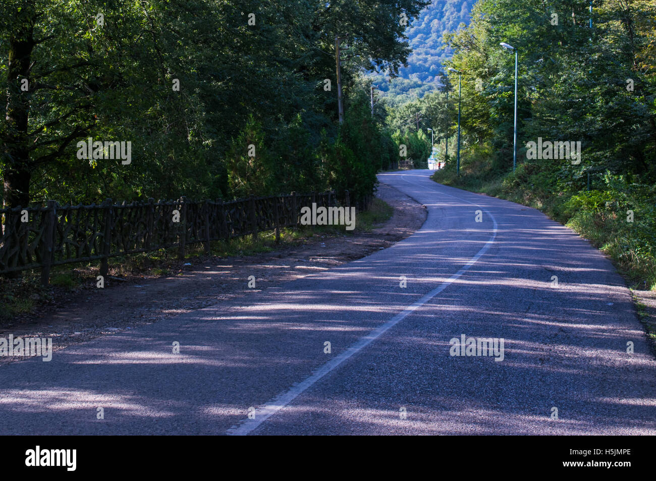 green path to abbas-abad lake Stock Photo - Alamy