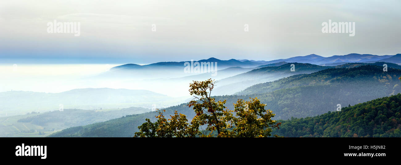 Beautiful mountains landscape from the top of the hill with fog, Alsace ...