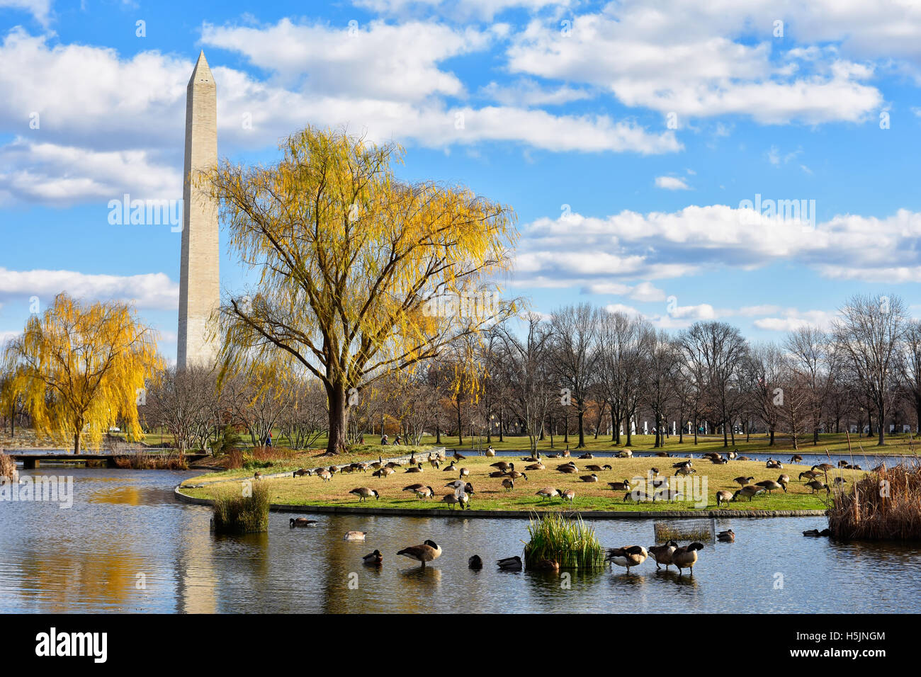 Washington Monument from Constitution Gardens. Washington DC, USA Stock ...