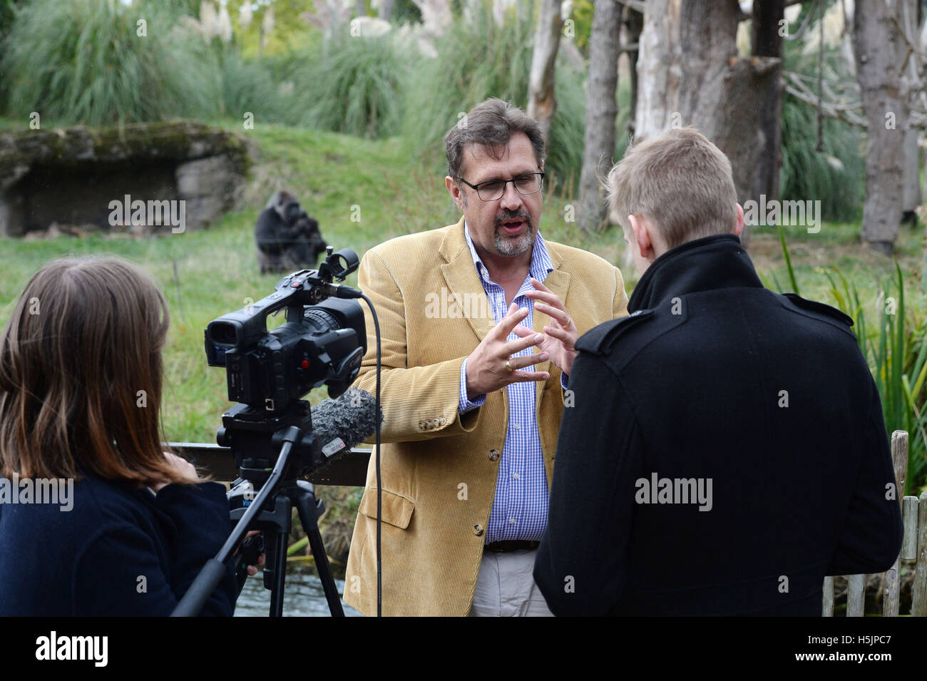 ZSL's zoological director Professor David Field with female gorilla ...