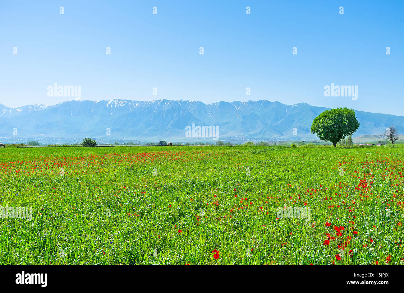 Samarkand region hi-res stock photography and images - Alamy