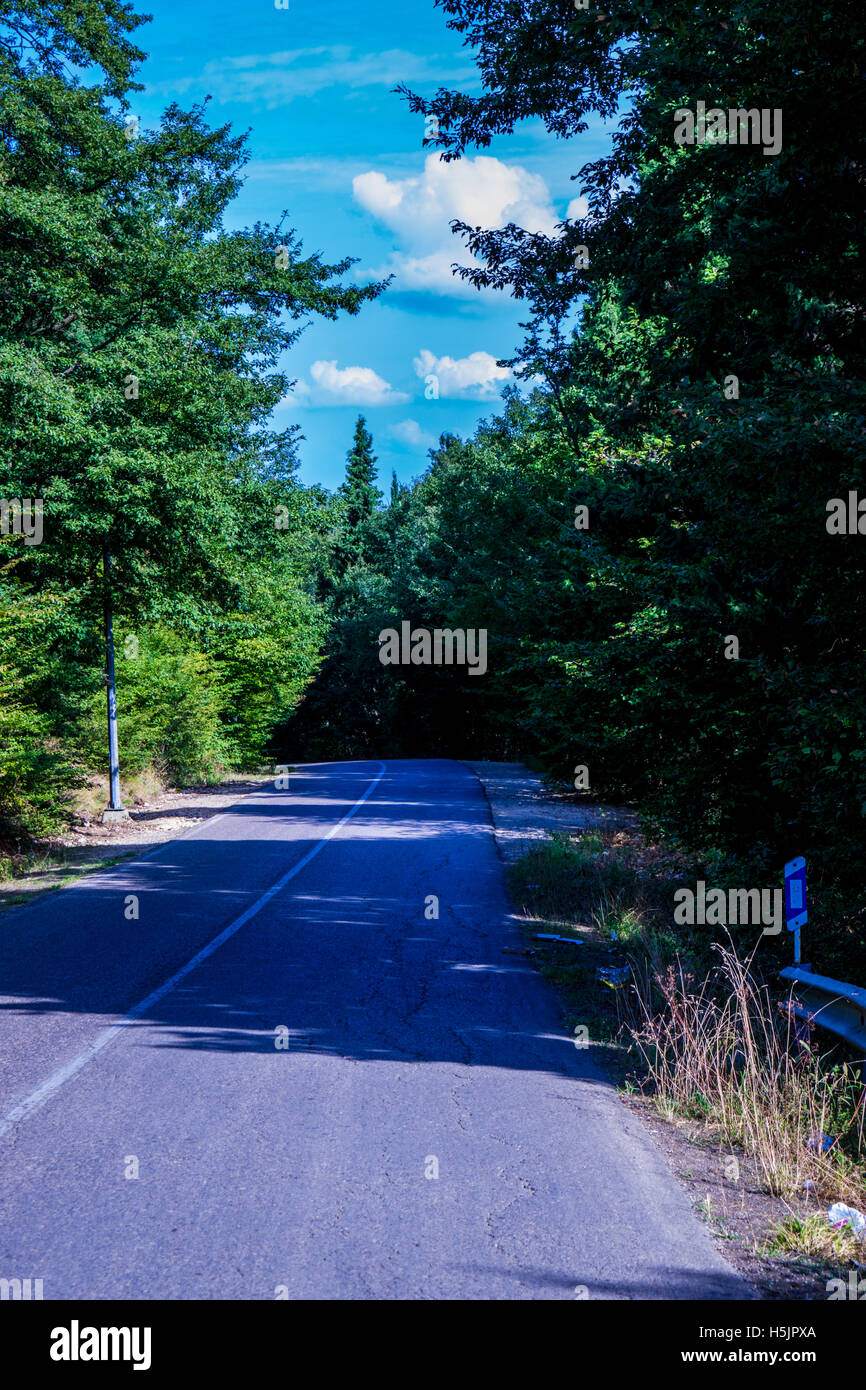 green path to abbas-abad Stock Photo - Alamy