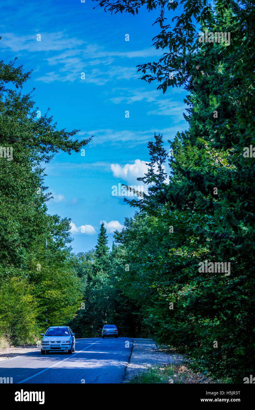 green path to abbas-abad Stock Photo - Alamy