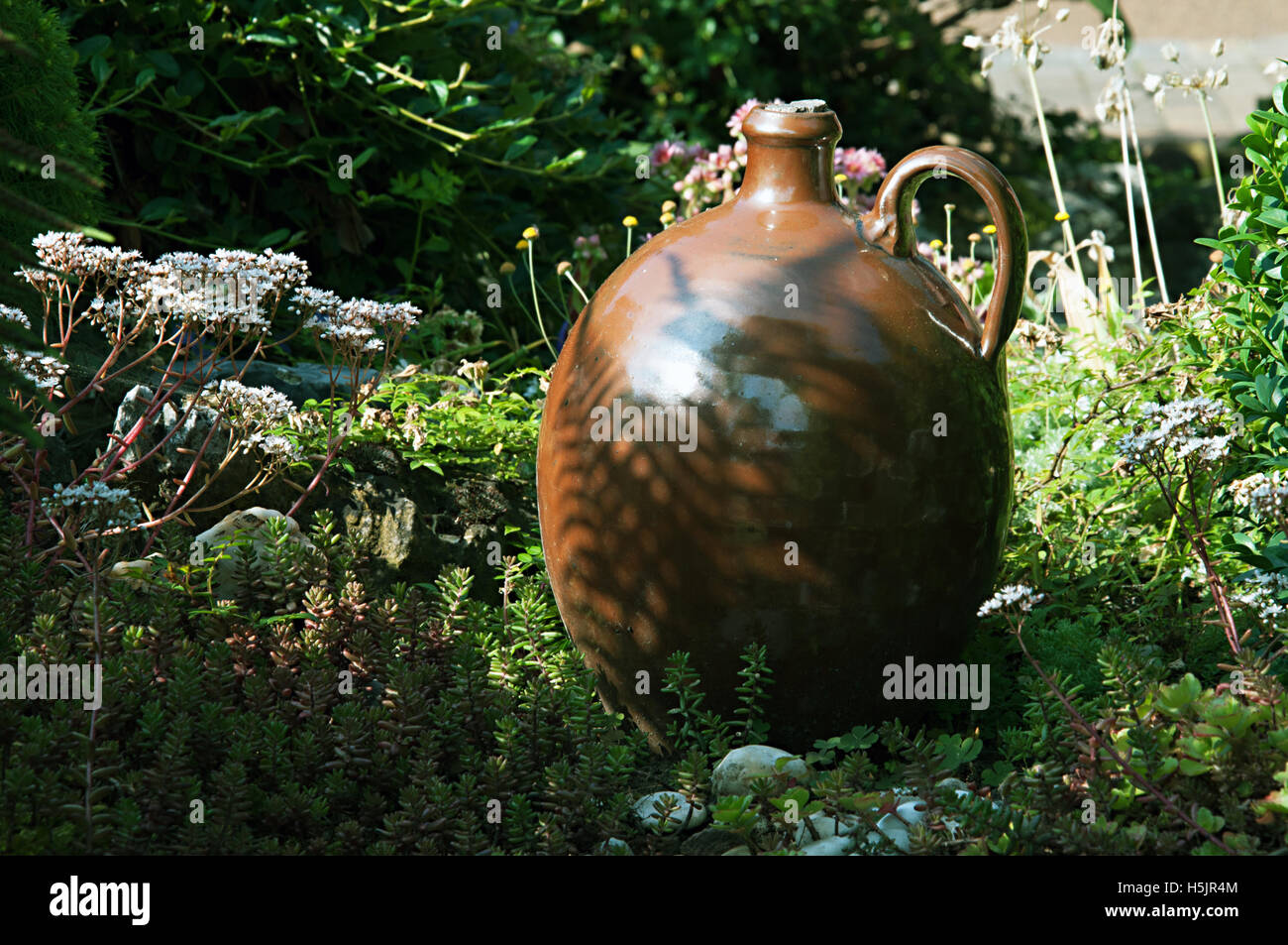 Greybeard hi-res stock photography and images - Alamy