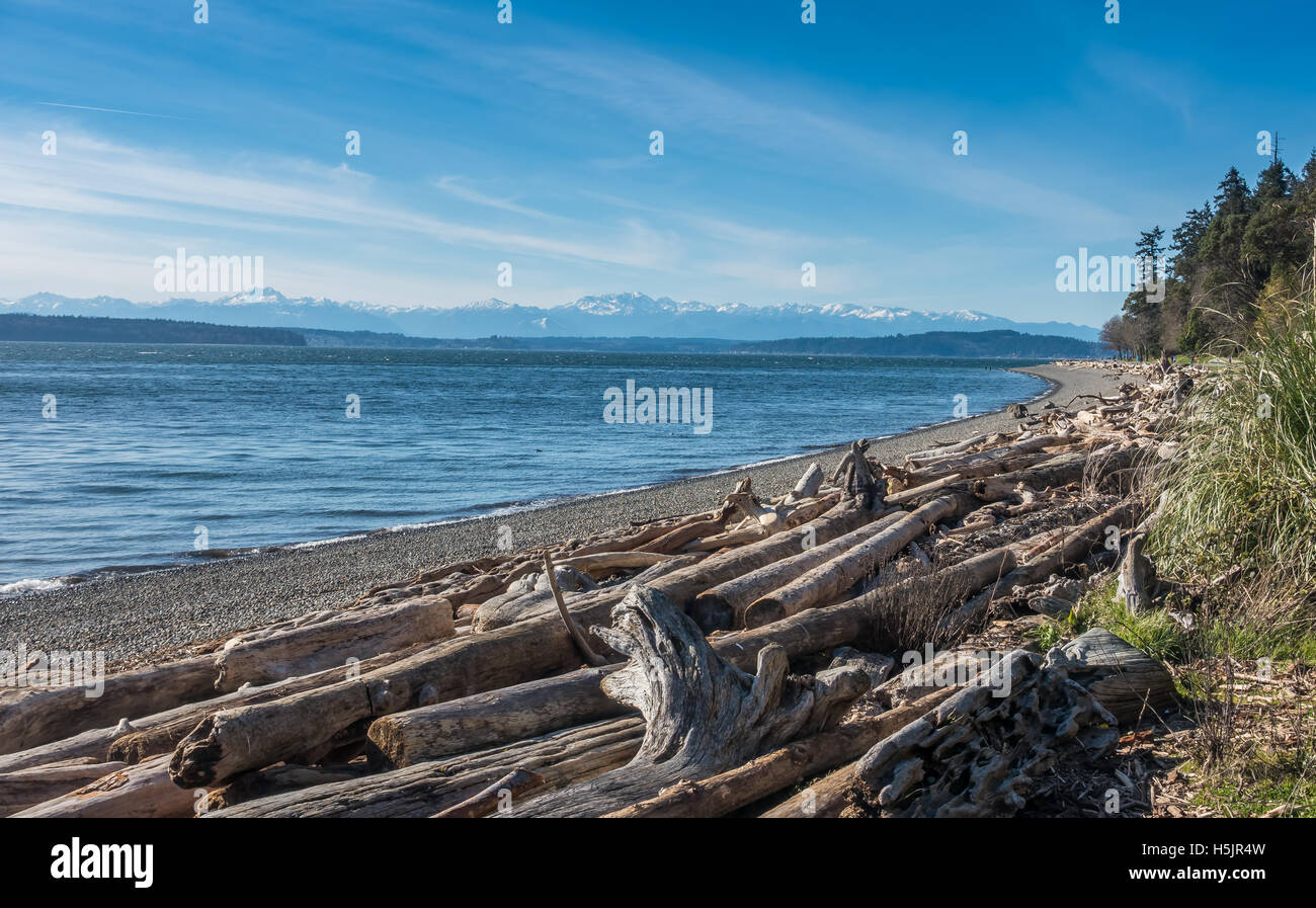 A view of the Olympic Mountains from Lincoln Park in West Seattle ...