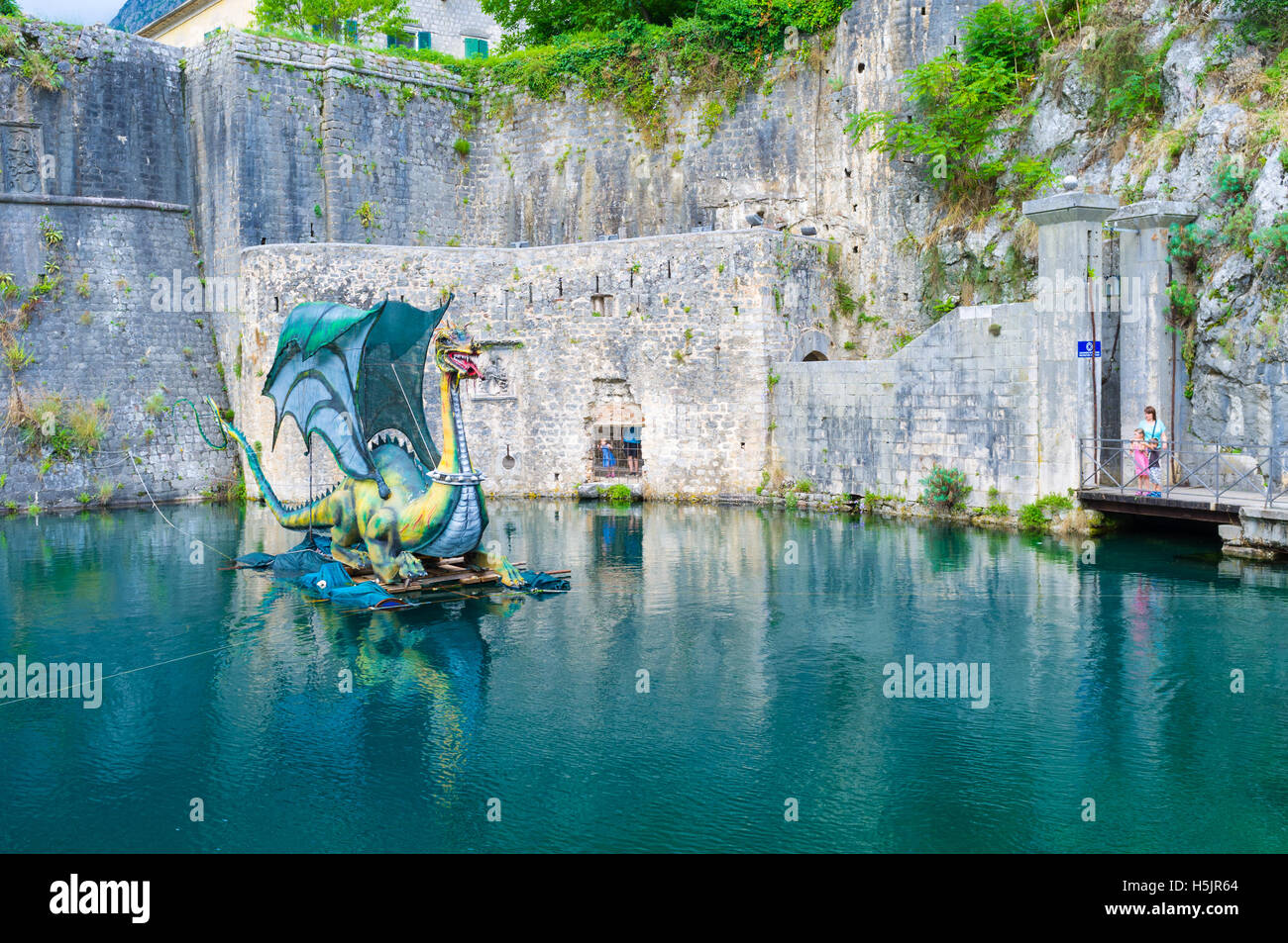 Dragon palm house plant hi-res stock photography and images - Alamy