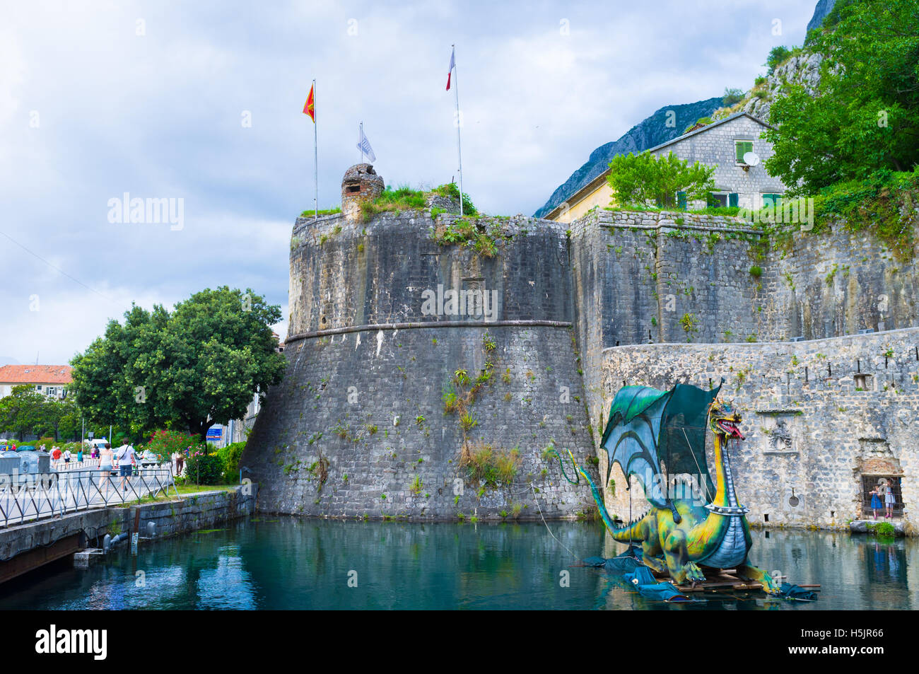 Dragon palm house plant hi-res stock photography and images - Alamy