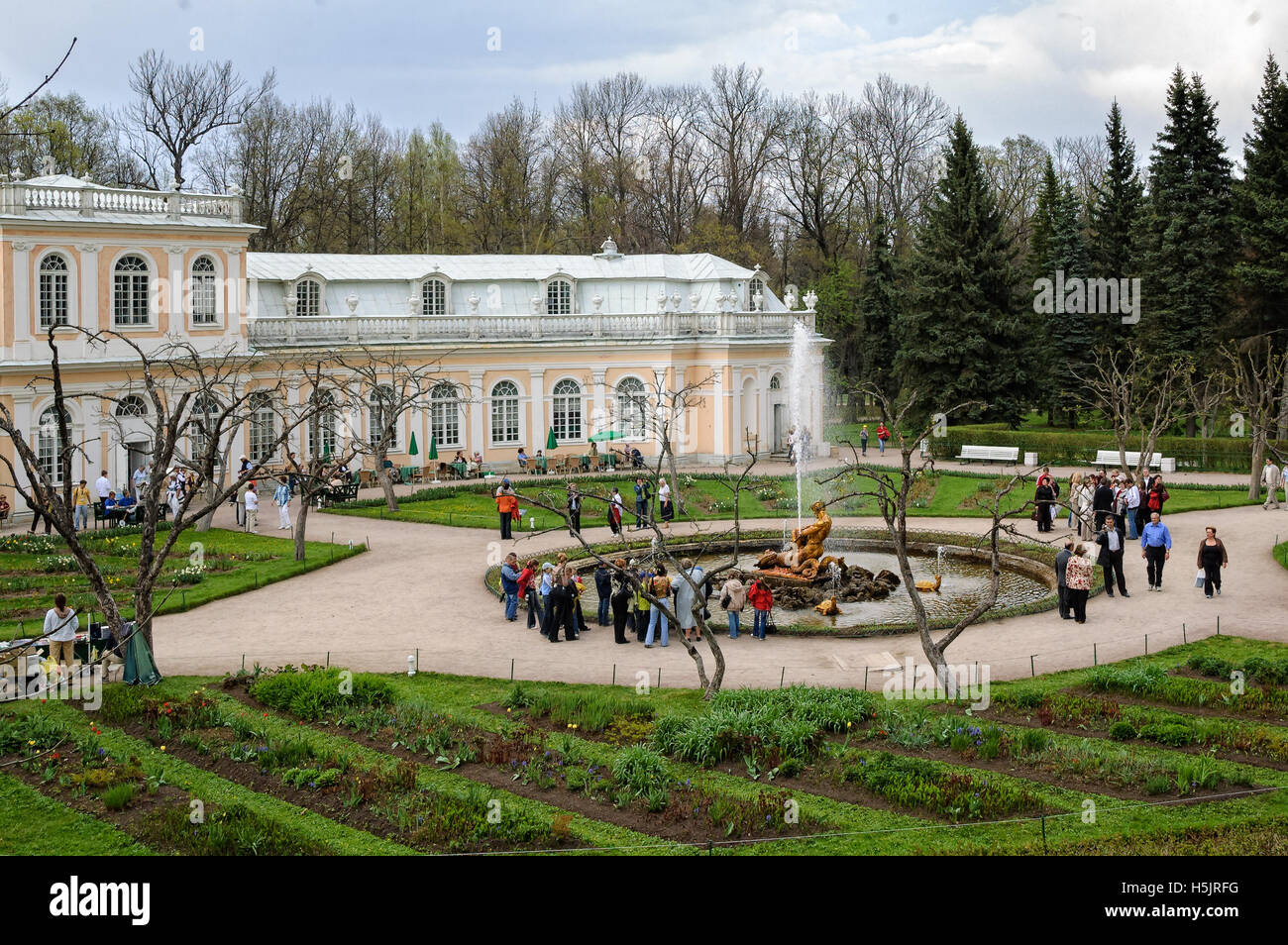 Famous Samson and Lion fountain in Peterhof Palace Stock Photo - Alamy