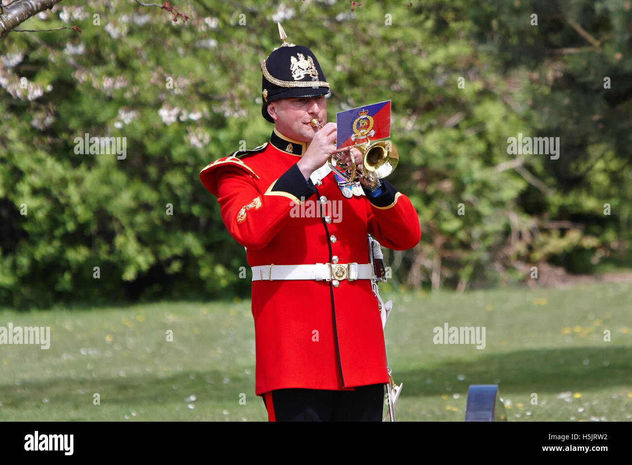 Military bugler funeral hi-res stock photography and images - Alamy