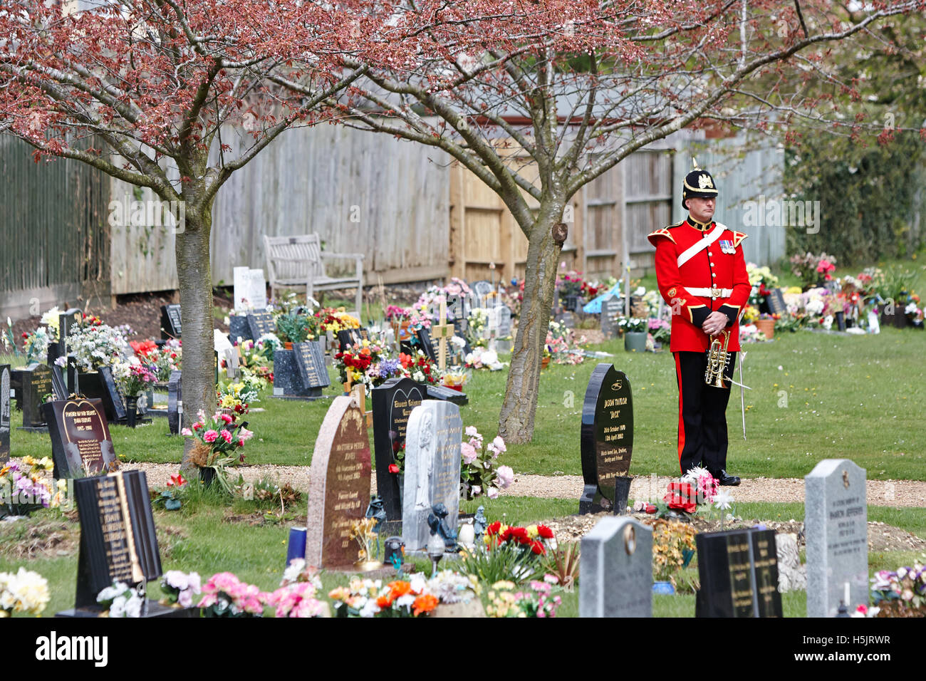 Military bugler funeral hi-res stock photography and images - Alamy