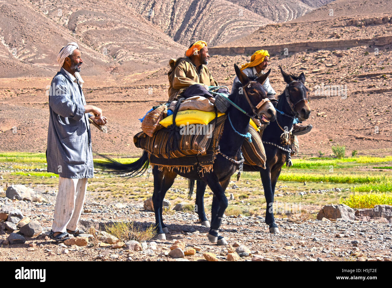 Berbers berber people morocco hi-res stock photography and images - Alamy