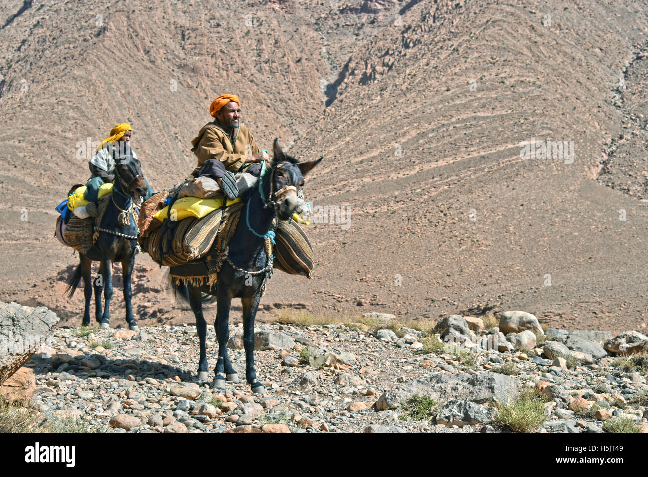 Pictish People Where The Berbers