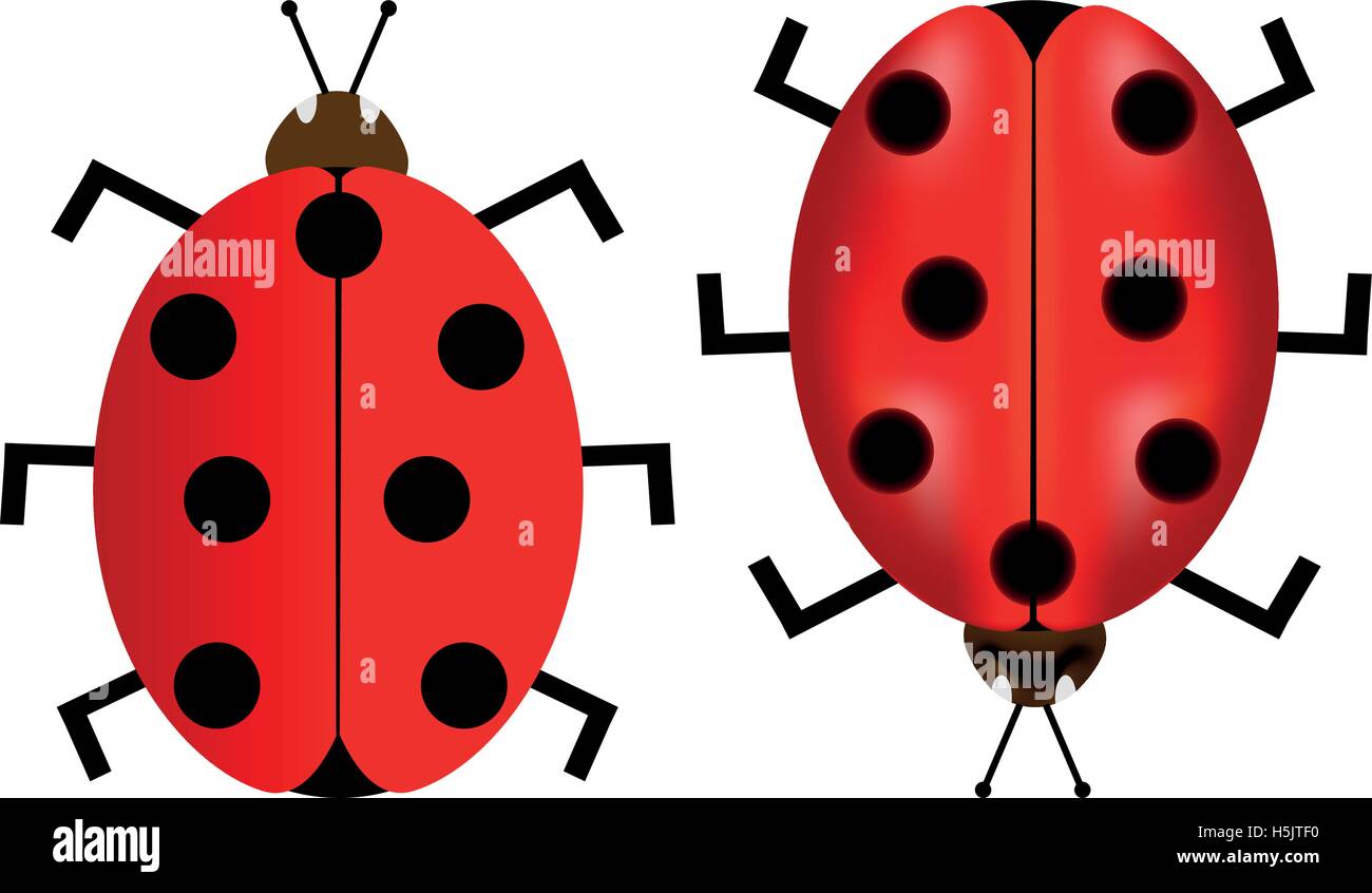 ladybird, ladybug,Ladybird vector illustration Stock Vector Image & Art ...