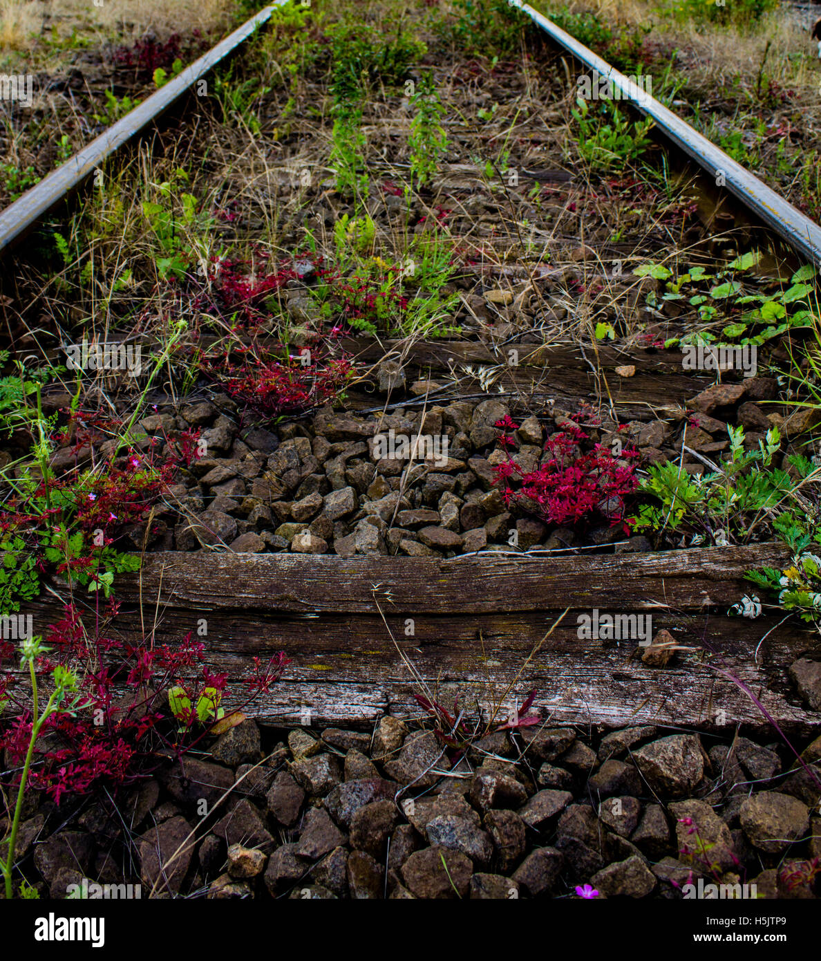 The old railway area Stock Photo - Alamy