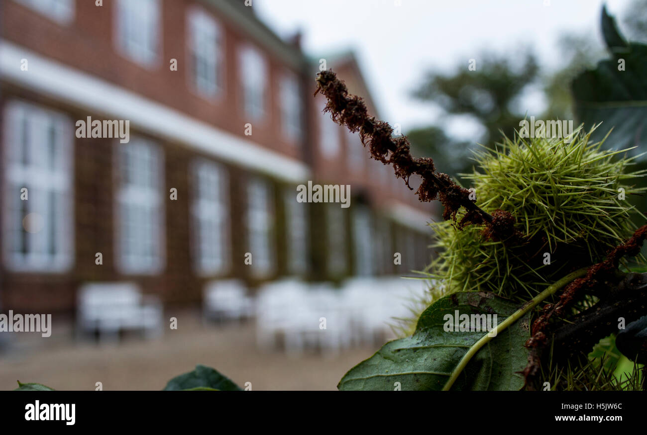 Fall at the old castle Stock Photo - Alamy