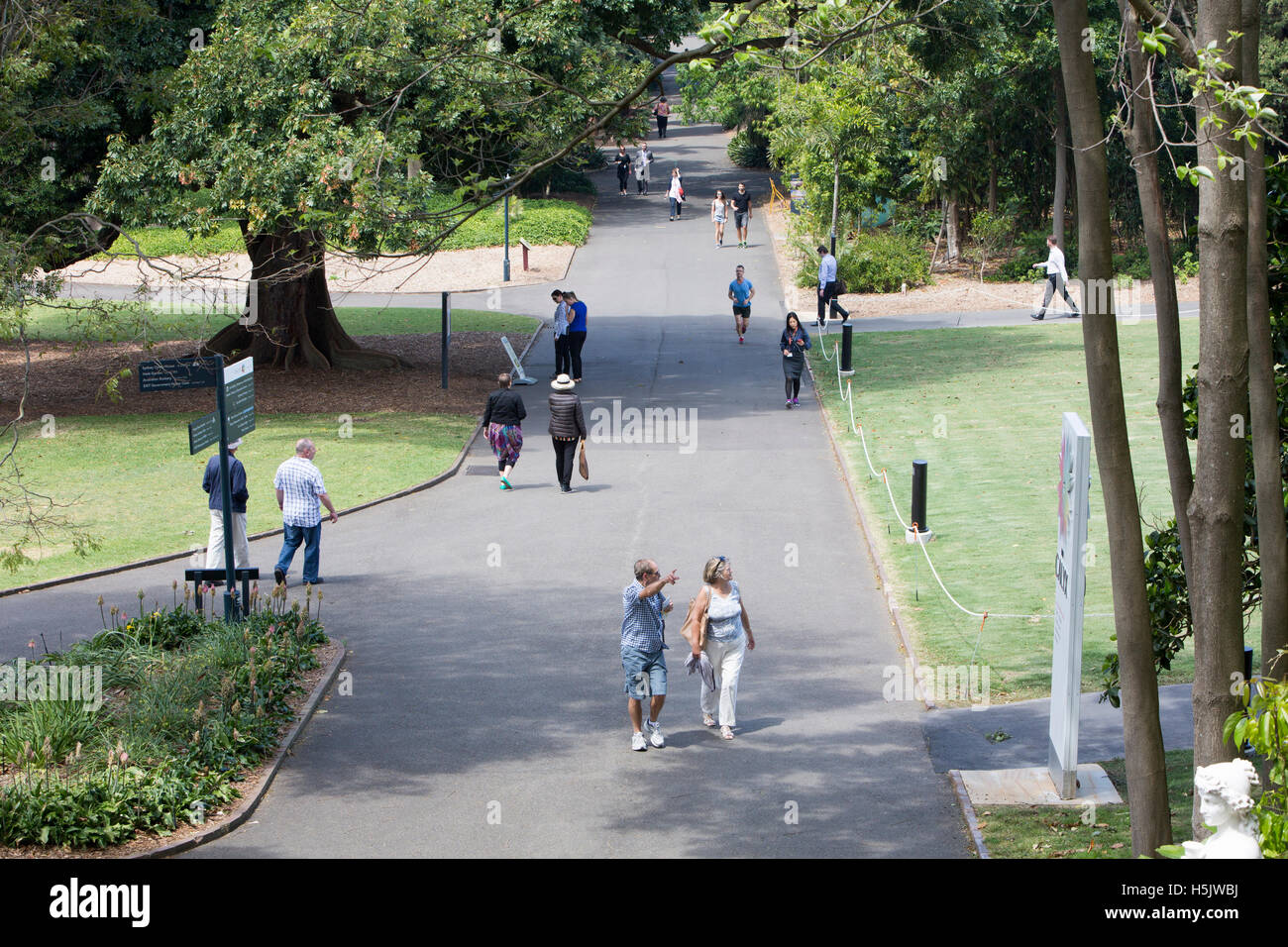Office workers taking lunch time walk through Sydney Royal Botanic ...