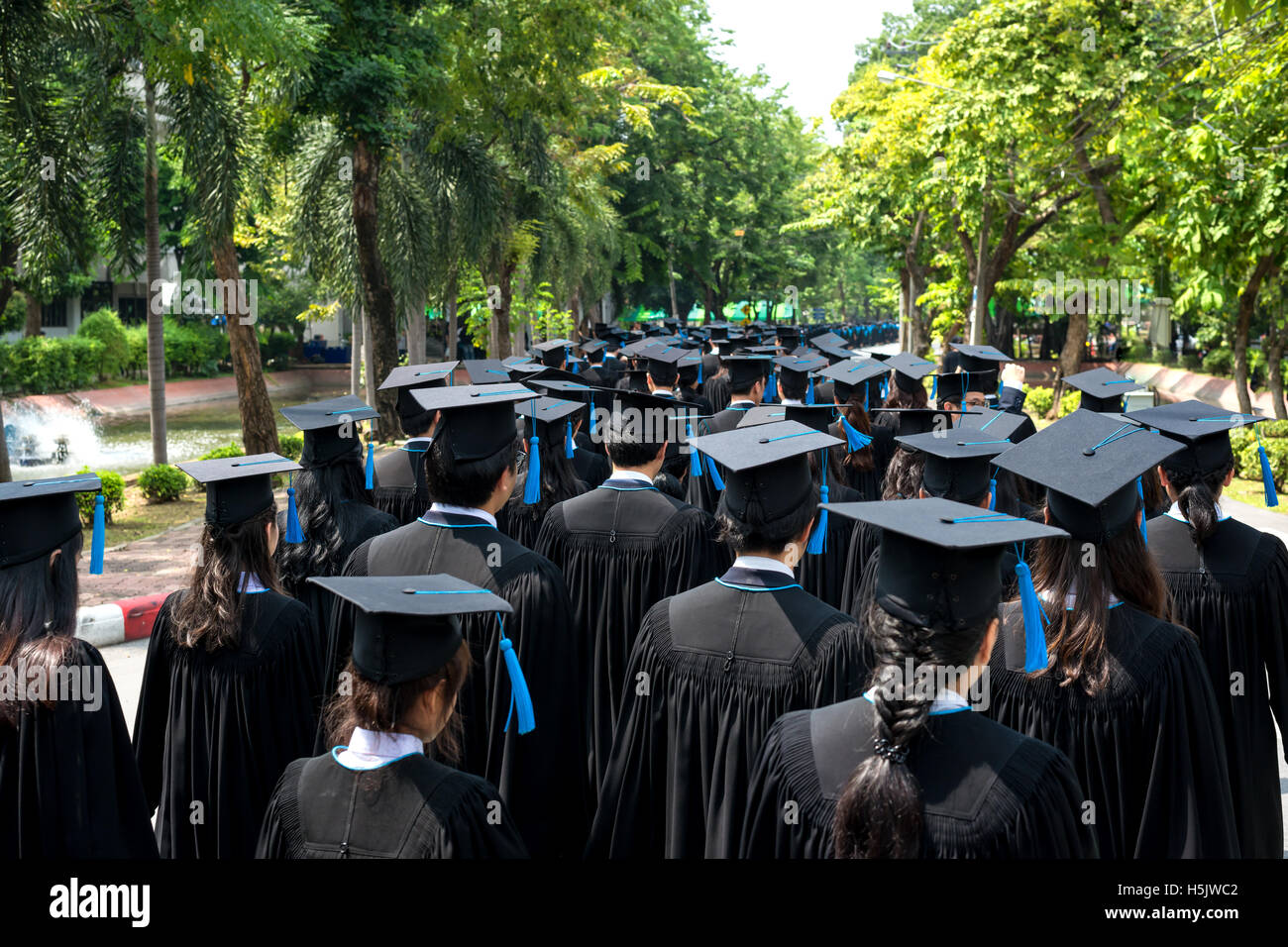 Back of graduates during commencement at university. Graduate walking ...