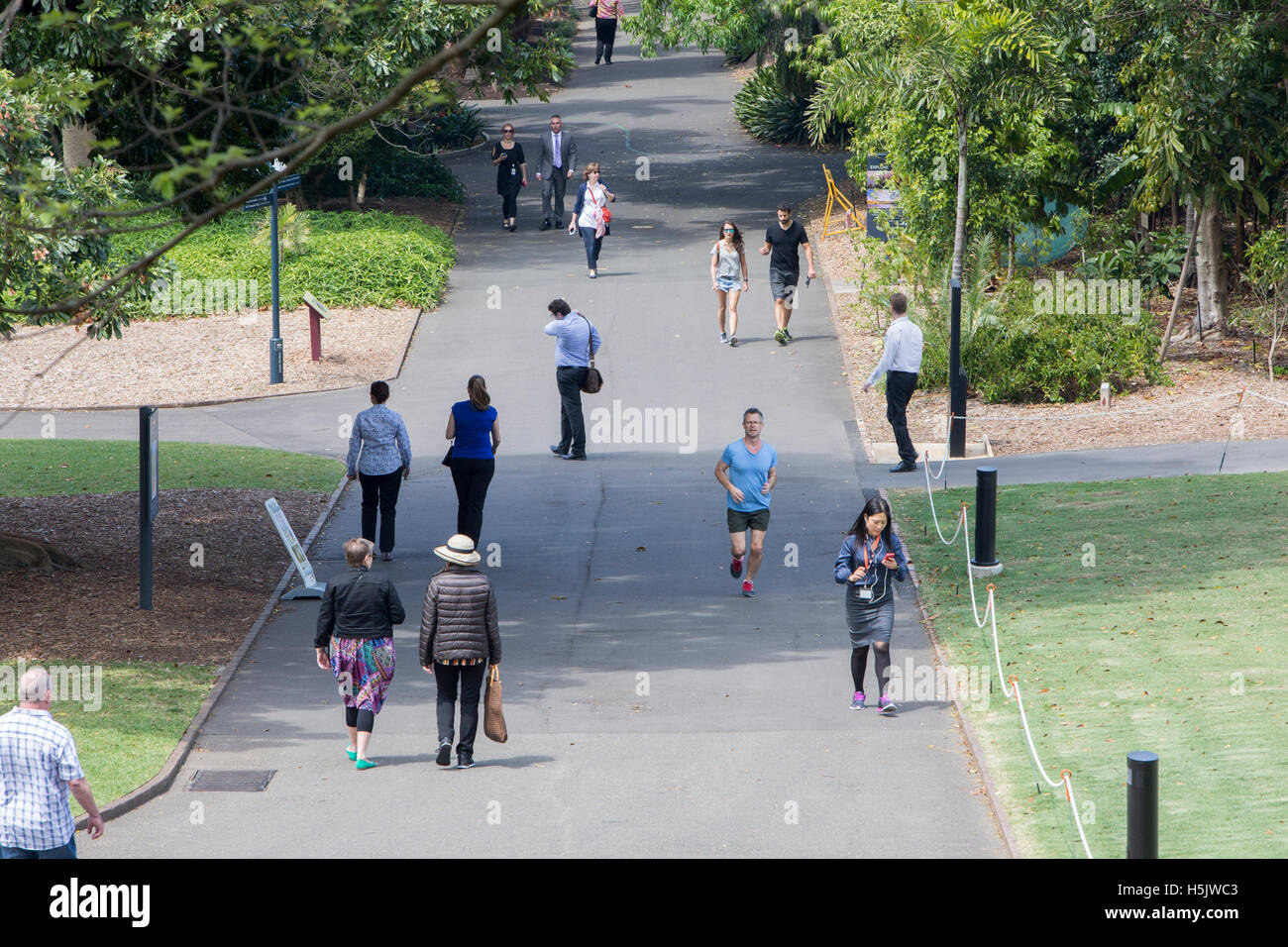 Office workers taking lunch time walk through Sydney Royal Botanic ... Office workers taking lunch time walk through Sydney Royal Botanic ...