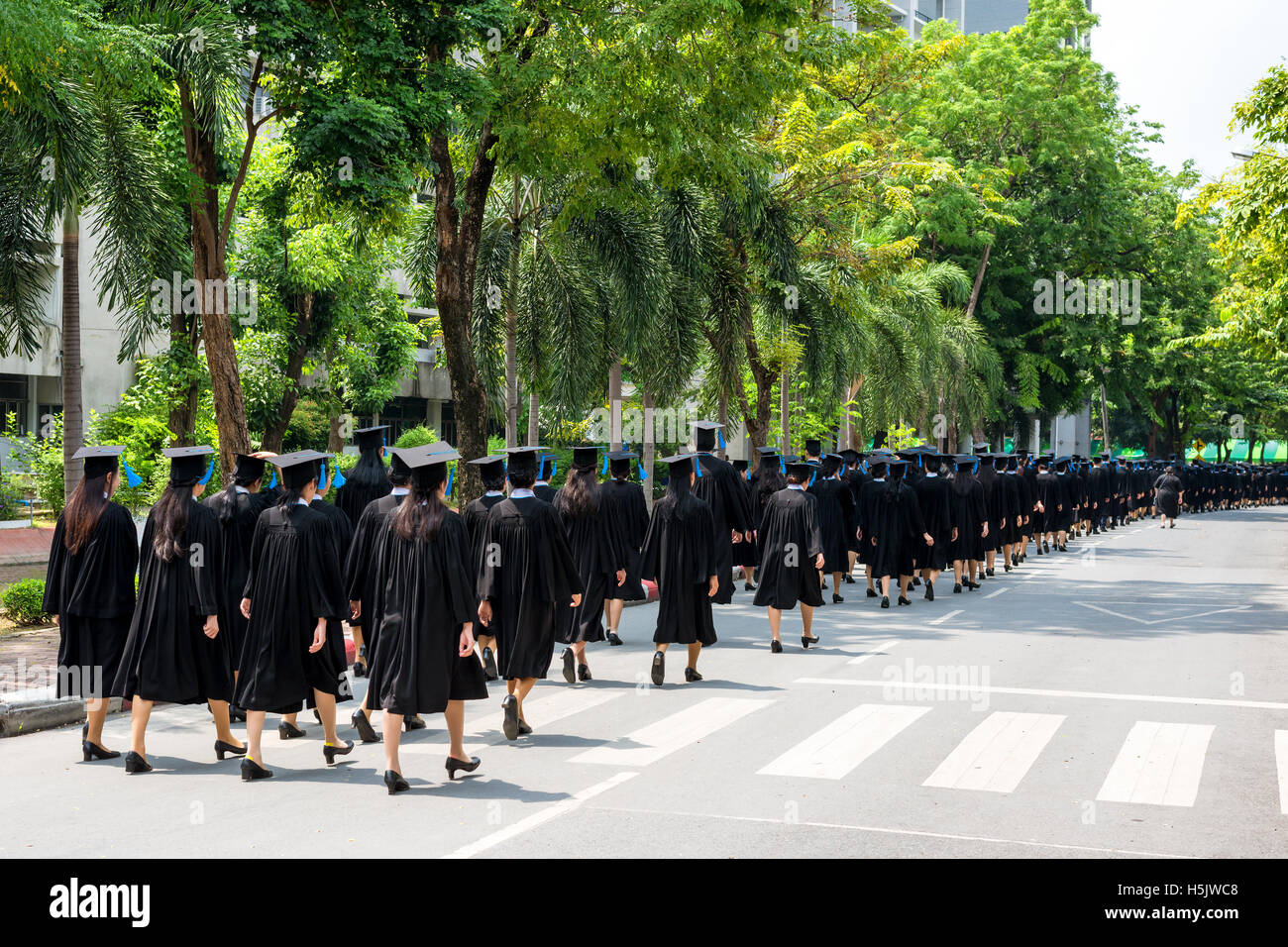 Back of graduates during commencement at university. Graduate walking ...