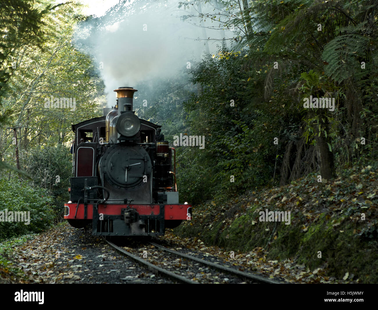 Puffing billy railway hi-res stock photography and images - Alamy