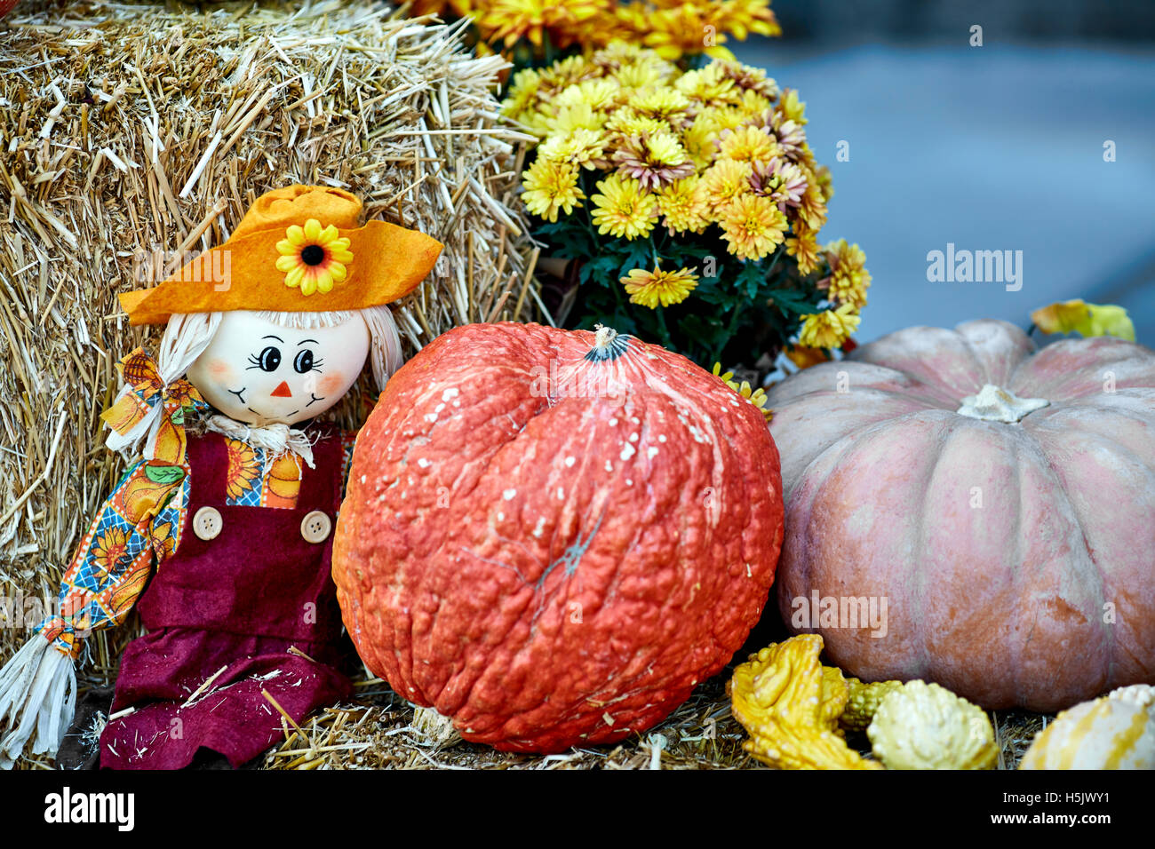 Doll made of straw posed on straw bale with large squash and ...