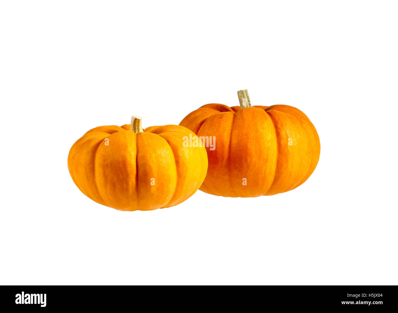 Two small pumpkins isolated on white Stock Photo - Alamy