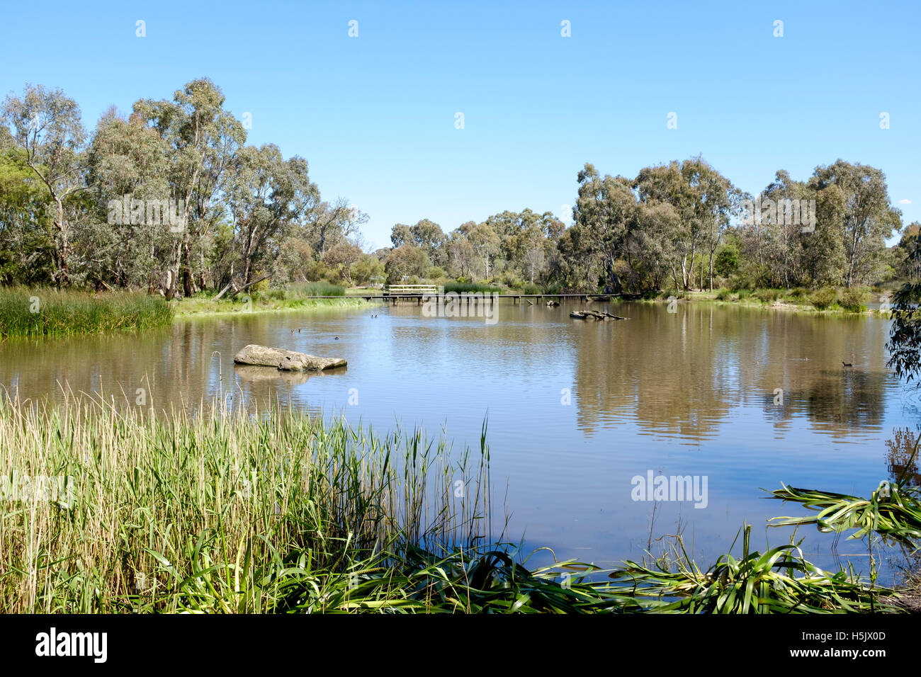The Laratinga Wetlands and bird sanctuary in the Adelaide Hills ...