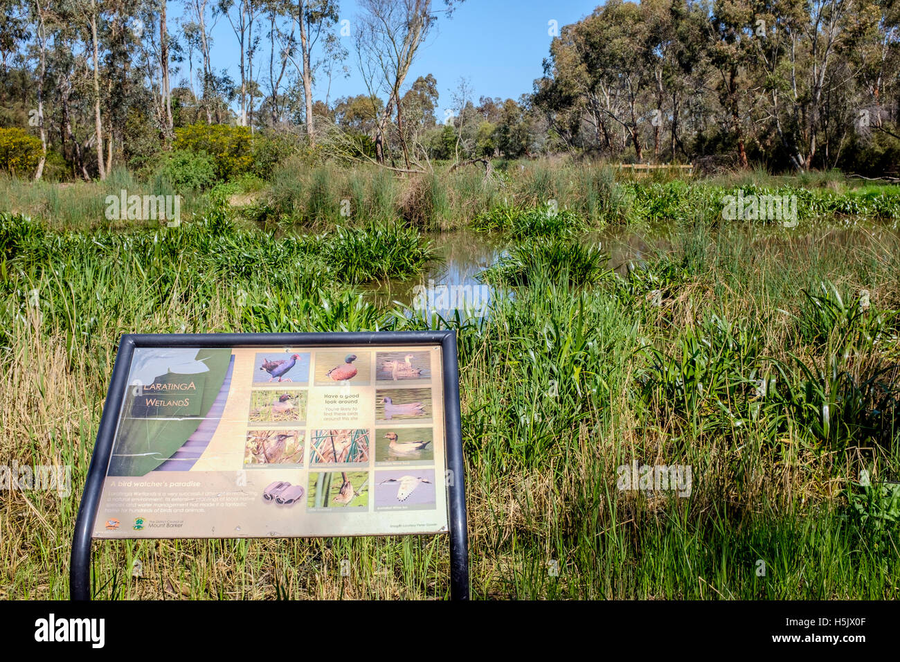 The Laratinga Wetlands and bird sanctuary in the Adelaide Hills ...