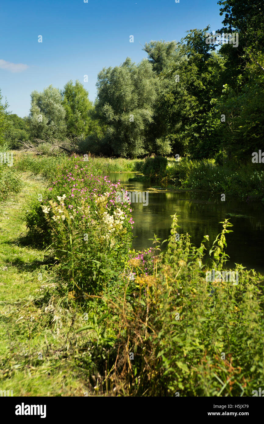 Chalk rivers hi-res stock photography and images - Alamy